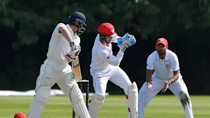 Wilson, Porterfield lay strong base for Ireland | ICC