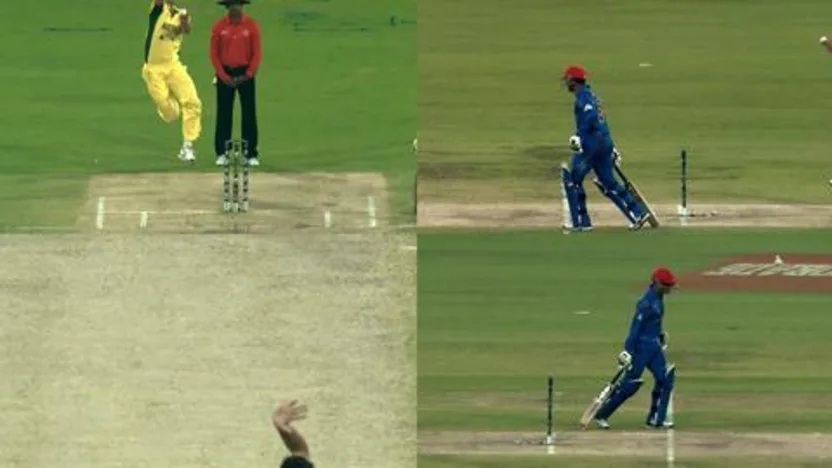 Starc Quad Split | ICC Cricket World Cup, 2015 | ICC