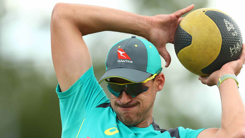 Injury worries over Mitchell Marsh and Starc