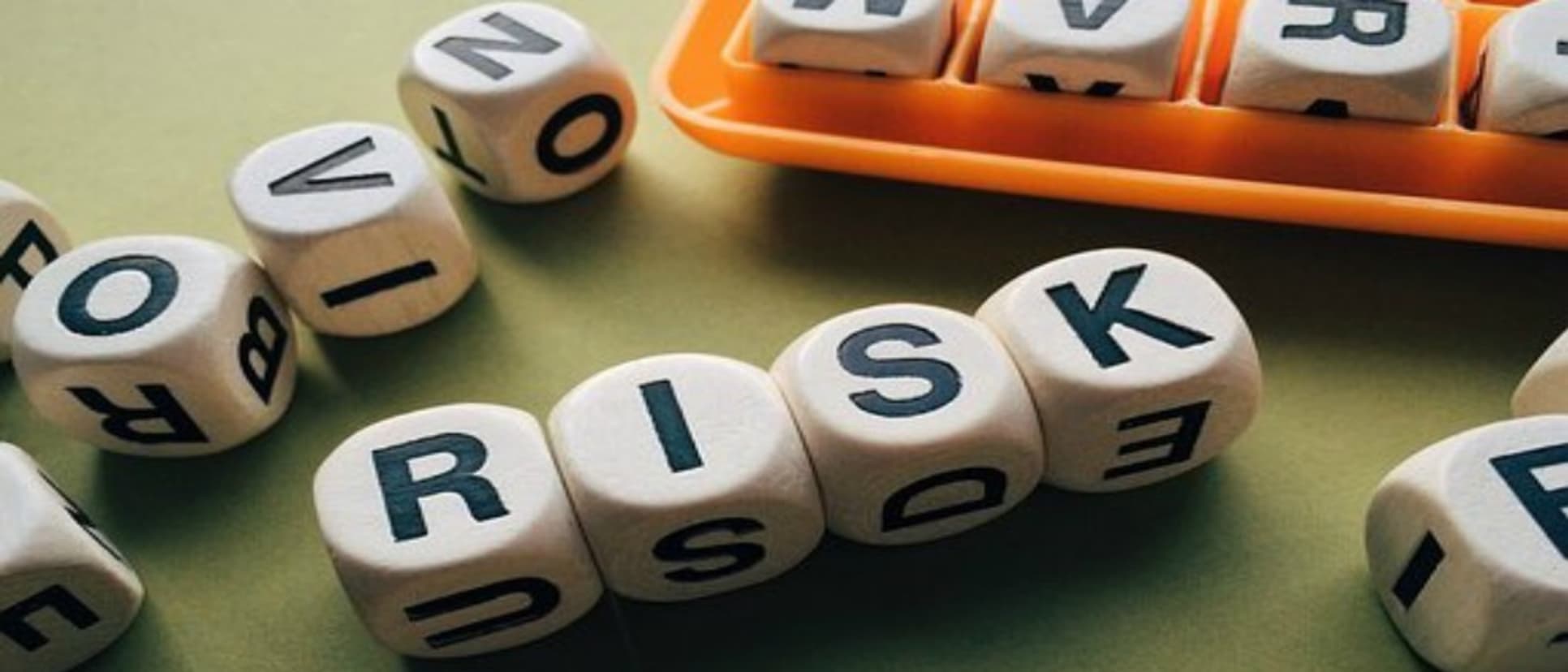 Integrity Unit Risk Assessment