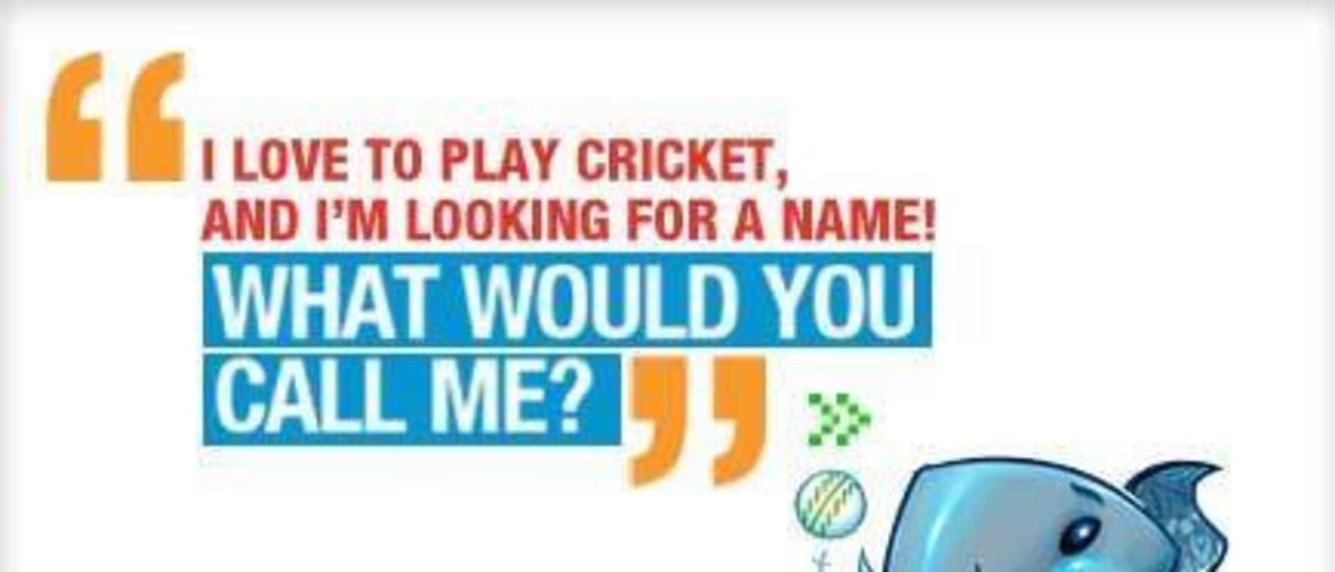 Name the CWC mascot - introducing the elephant