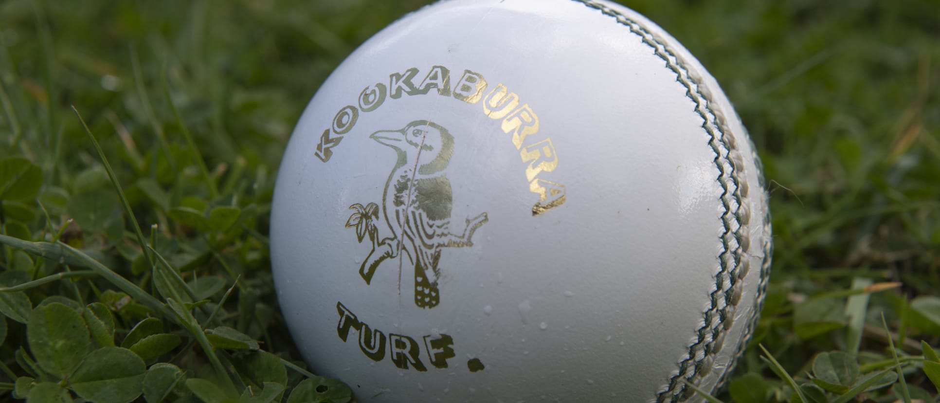 Media Information for ICC Men’s T20 World Cup 2024 - Wednesday, 5th June