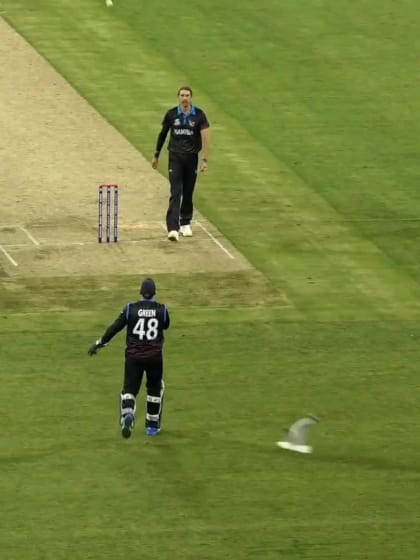 ICC Men's & Women's Cricket Rankings Overview | ICC